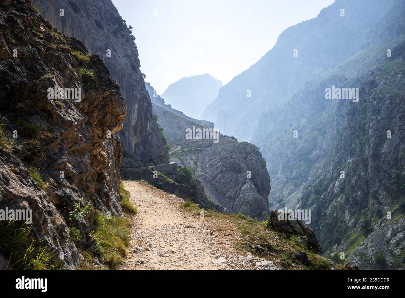 Cares trail - ruta del Cares - in Picos de Europa canyon, Asturias ...