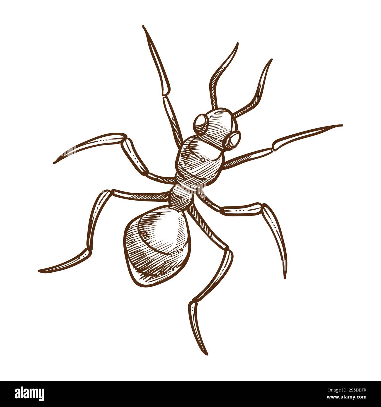 Ant closeup monochrome sketch outline, small insect with sting, that ...