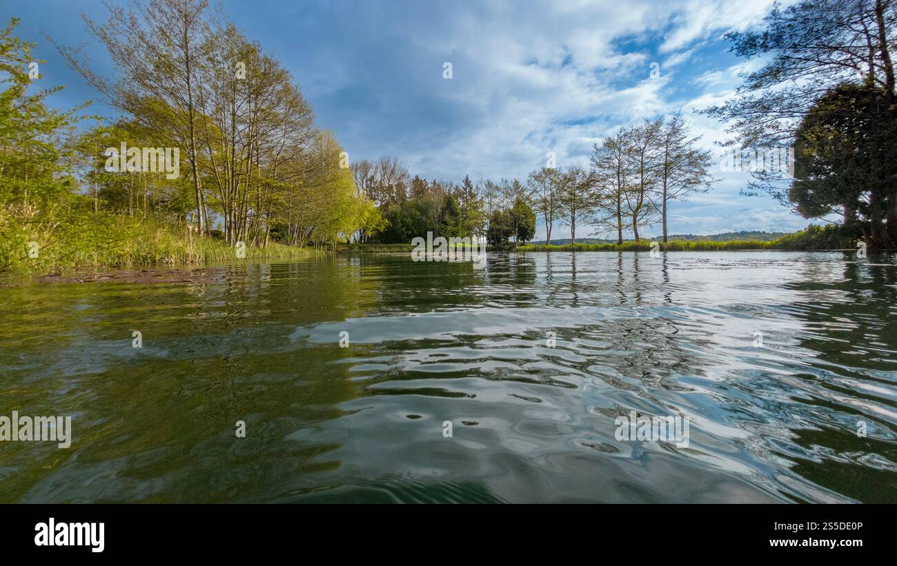 Pool Bridge Farm wild swimming pond seen from a swimmer's point of view ...