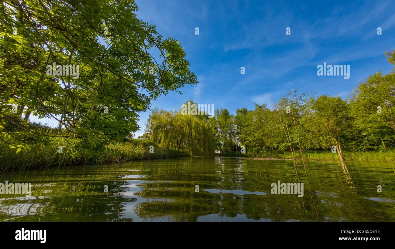 Pool Bridge Farm wild swimming pond seen from a swimmer's point of view ...