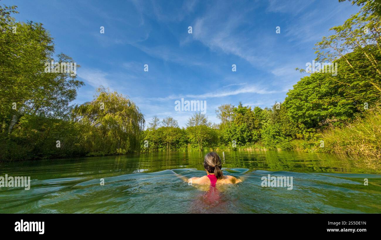 Rear view of a female wild swimmer, with grey hair, swimming in a pond ...