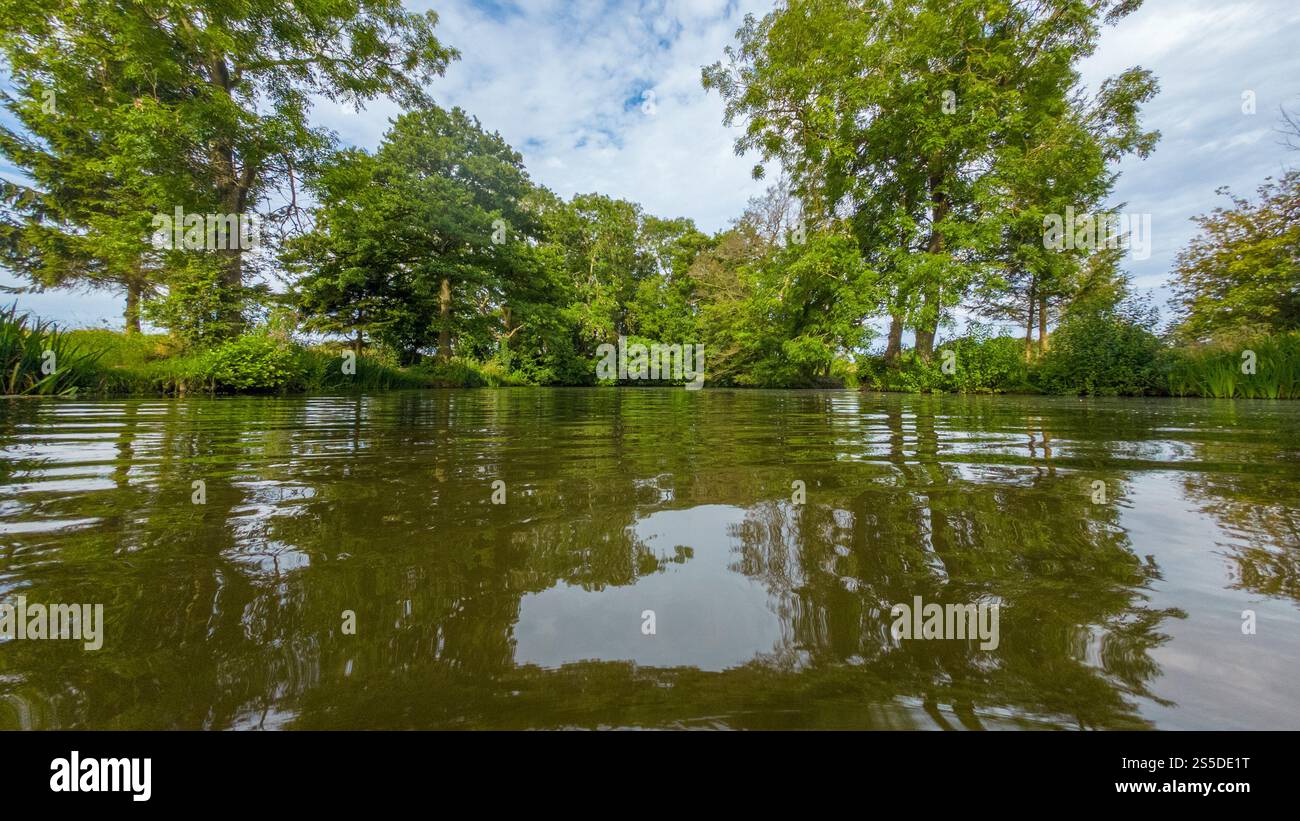 Chaloner Wild Swimming Pond from the swimmer's POV Stock Photo - Alamy