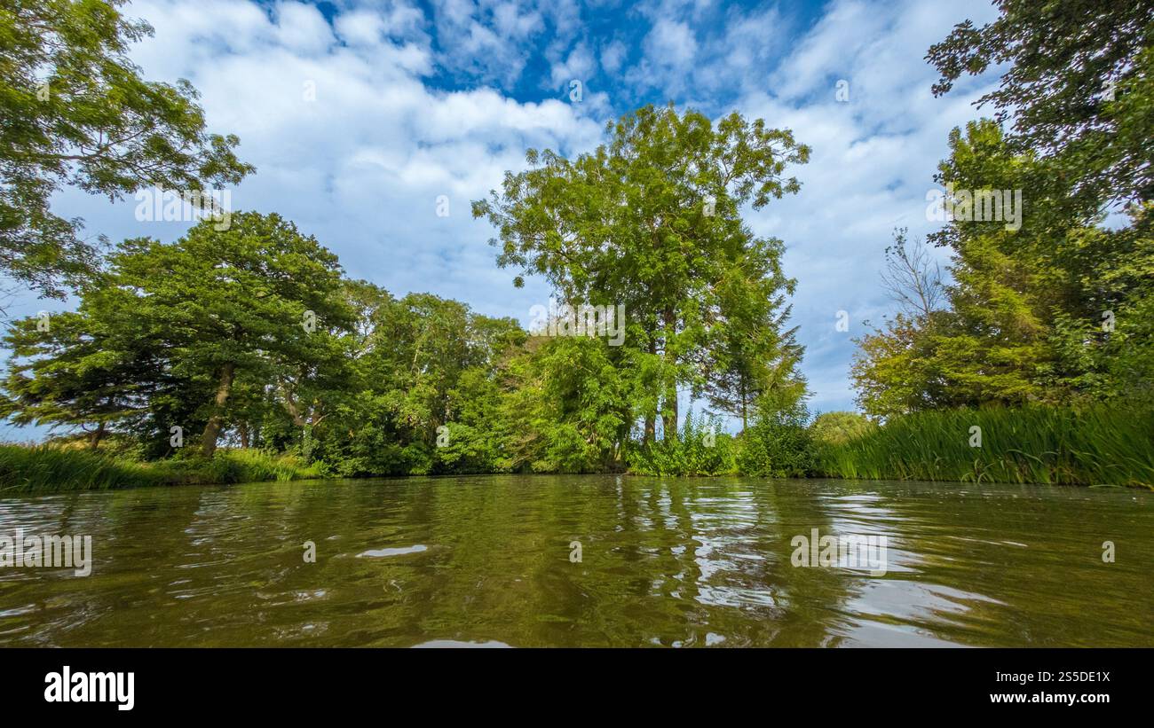 Chaloner Wild Swimming Pond from swimmer's POV Stock Photo - Alamy