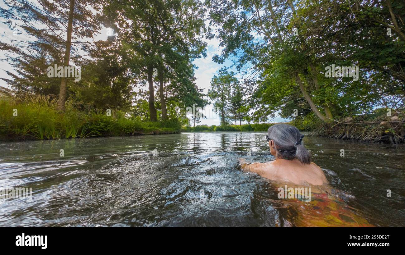 Rear view of a female wild swimmer, with grey hair, swimming in a pond ...