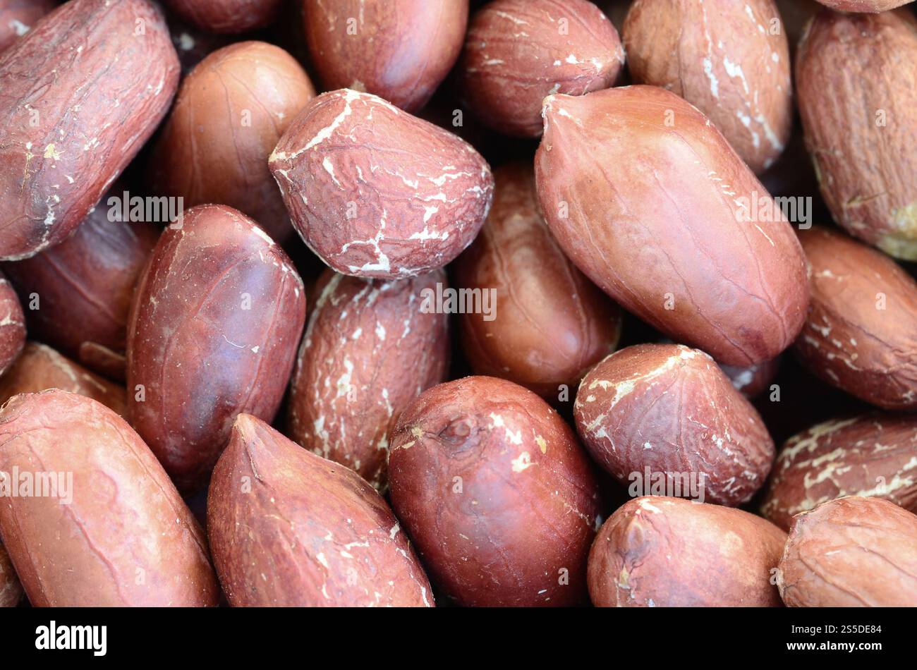 Peanut. A lot of small yellow nuts with brown peel. Background texture ...