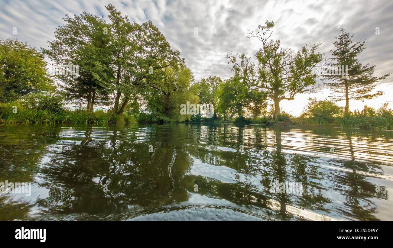 Chaloner Wild Swimming Pond from swimmer's POV Stock Photo - Alamy