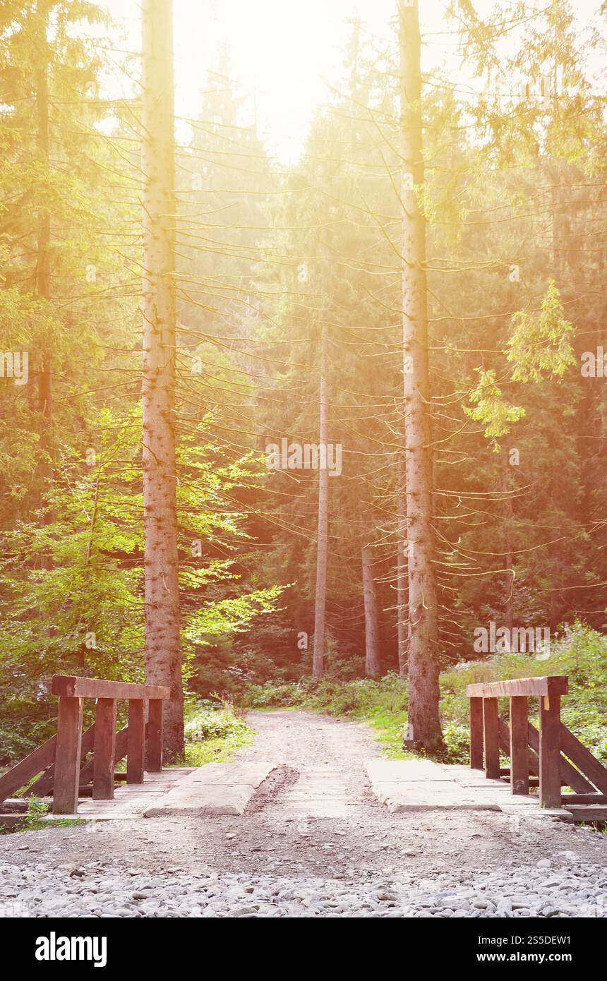 A small short bridge across the river for driving cars in the middle of ...