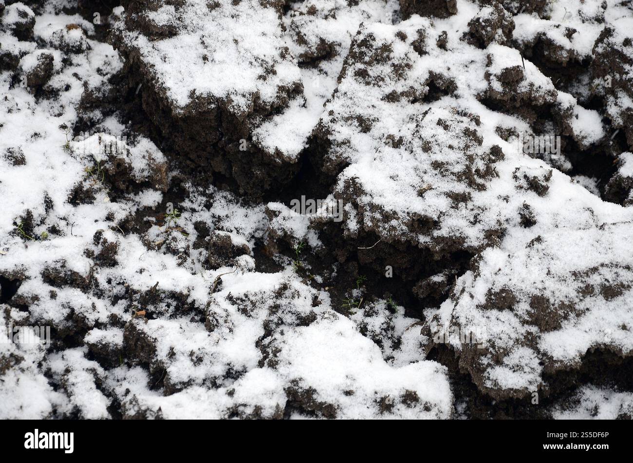 The texture of the ground, covered with a thin layer of snow. The soil ...