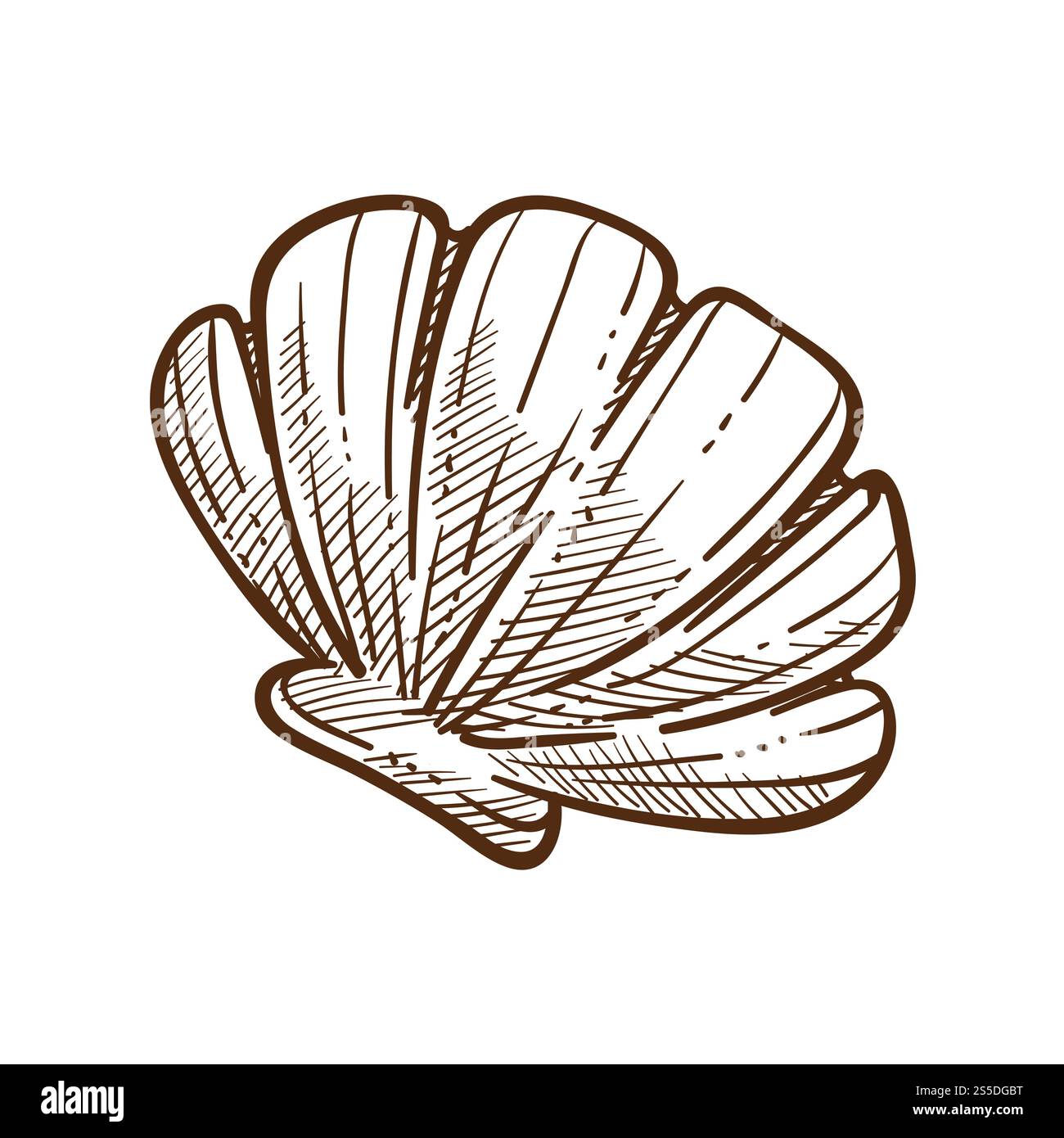 Scallop shell monochrome sketch outline. Marine object with hard ...