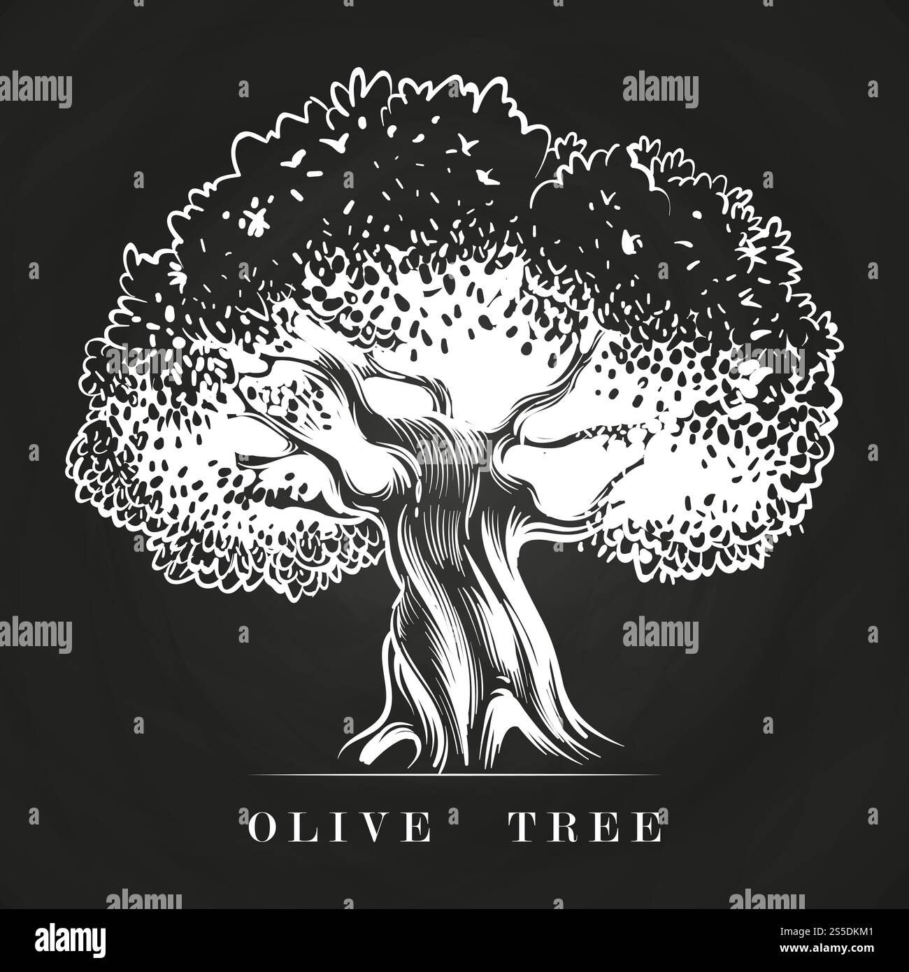 Hand drawn old olive tree on chalkboard. Vector tree olive sketch ...