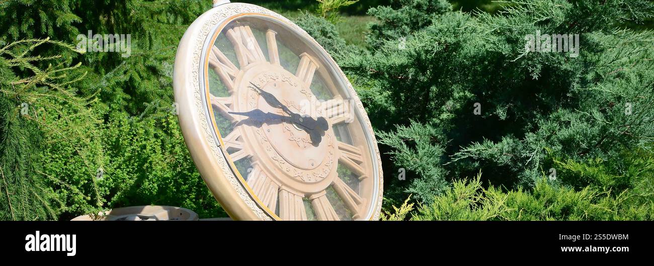 Street clock in a park under branches of trees covered with green ...