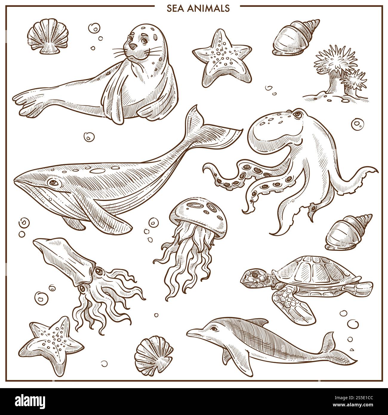 Sea or ocean animals and fishes sketch. Vector isolated cartoon seal ...