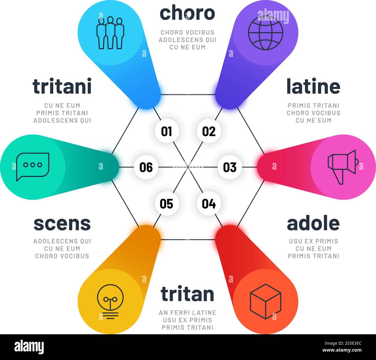 Process chart. 6 step option diagram, business organization infochart ...