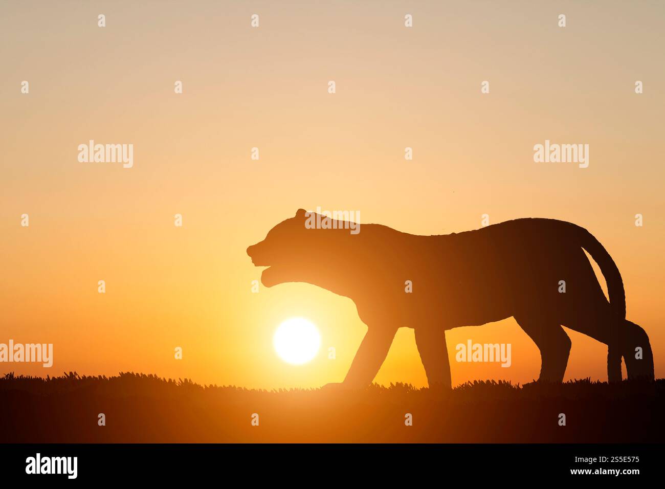 Beautiful sunset on nature background hi-res stock photography and ...