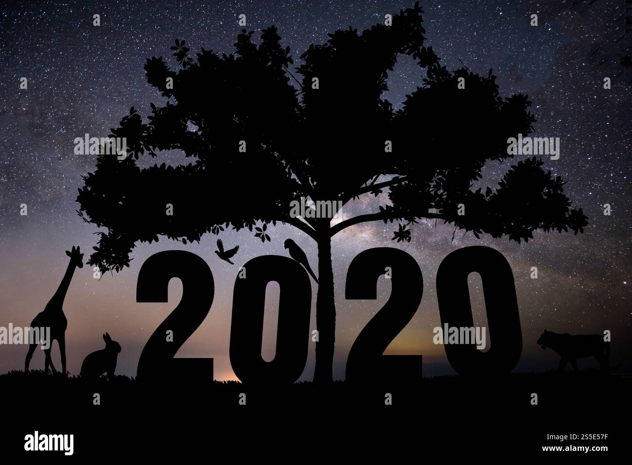 silhouette number 2020 and animals on a background with stars Stock ...