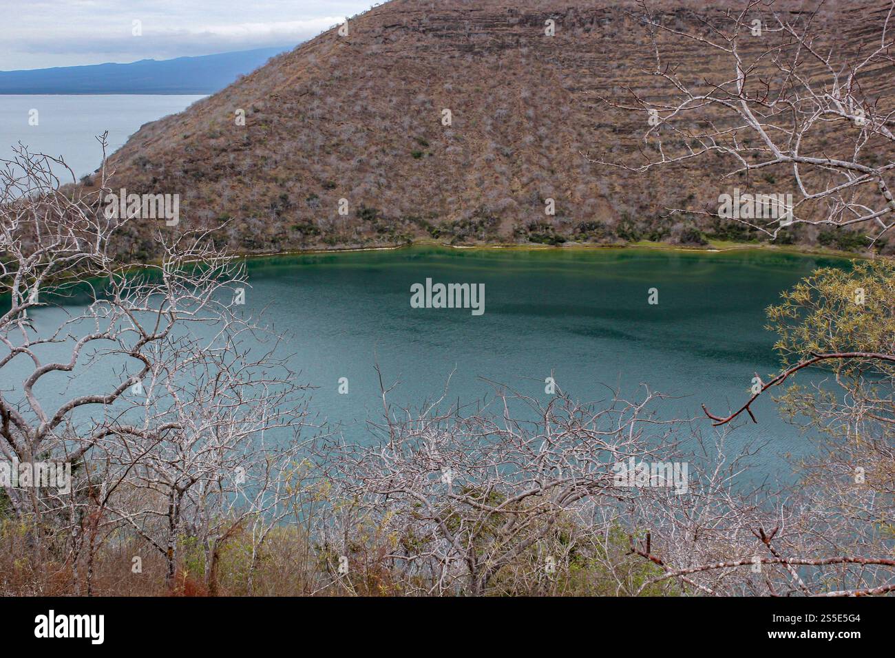 Isabela island attractions hi-res stock photography and images - Alamy