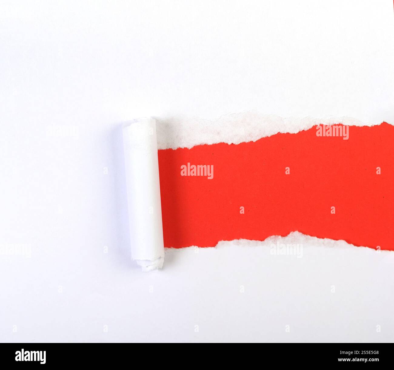 The paper is torn, rolled up and is red Stock Photo - Alamy