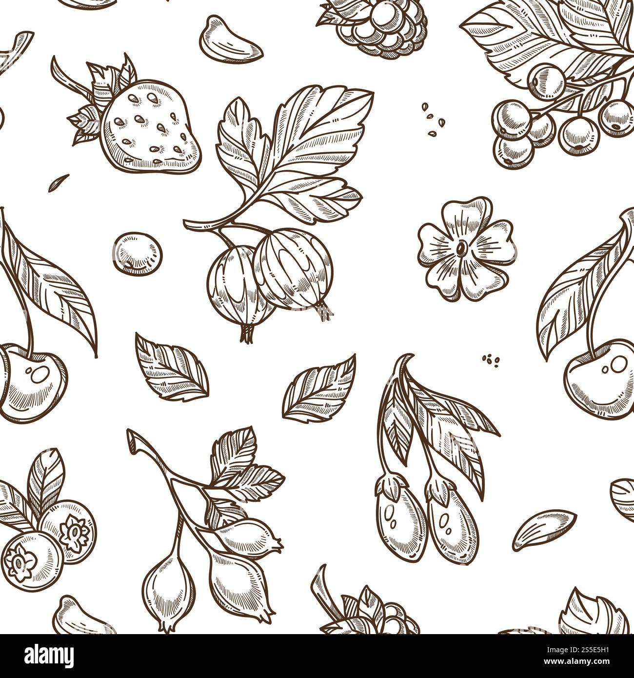 Fruits raspberries and berries monochrome sketches outline hi-res stock ...