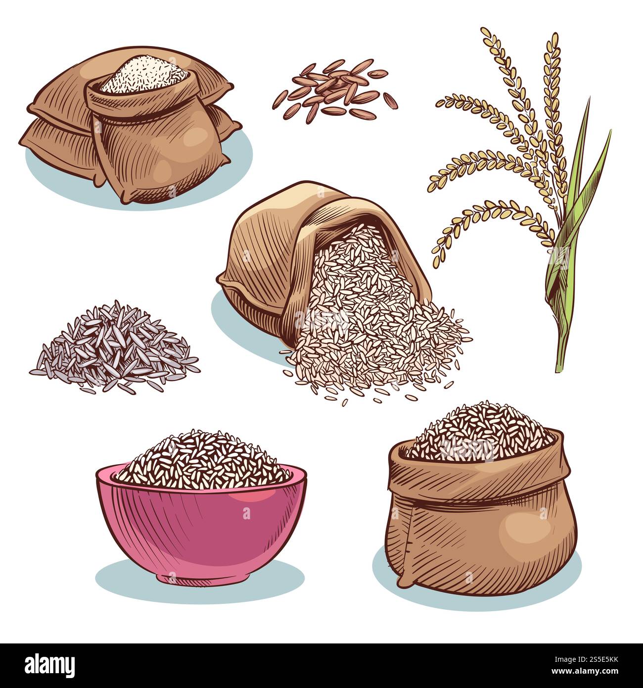 Rice sacks. Bowl with rice grains and ears. Japanese food, rice storage ...