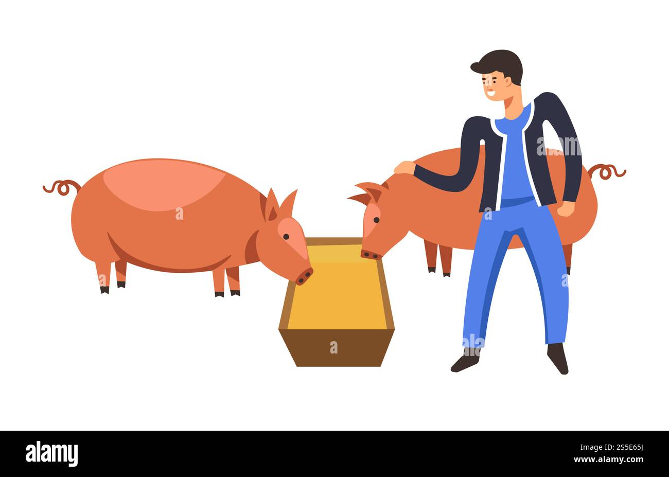 Farm animals, man farmer tending for pigs eating from container vector ...