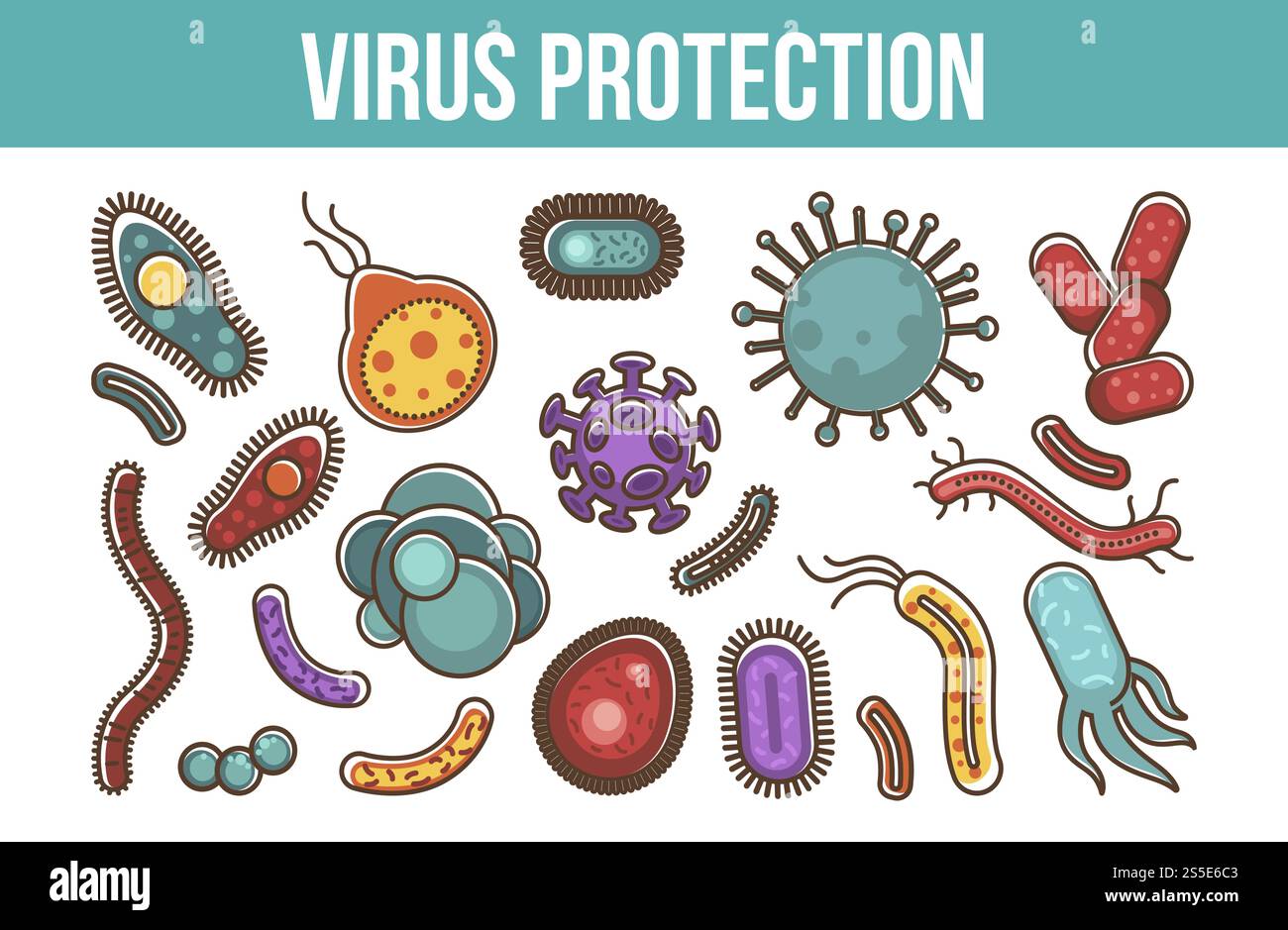 Viruses and bacteria information poster for medical healthcare ...