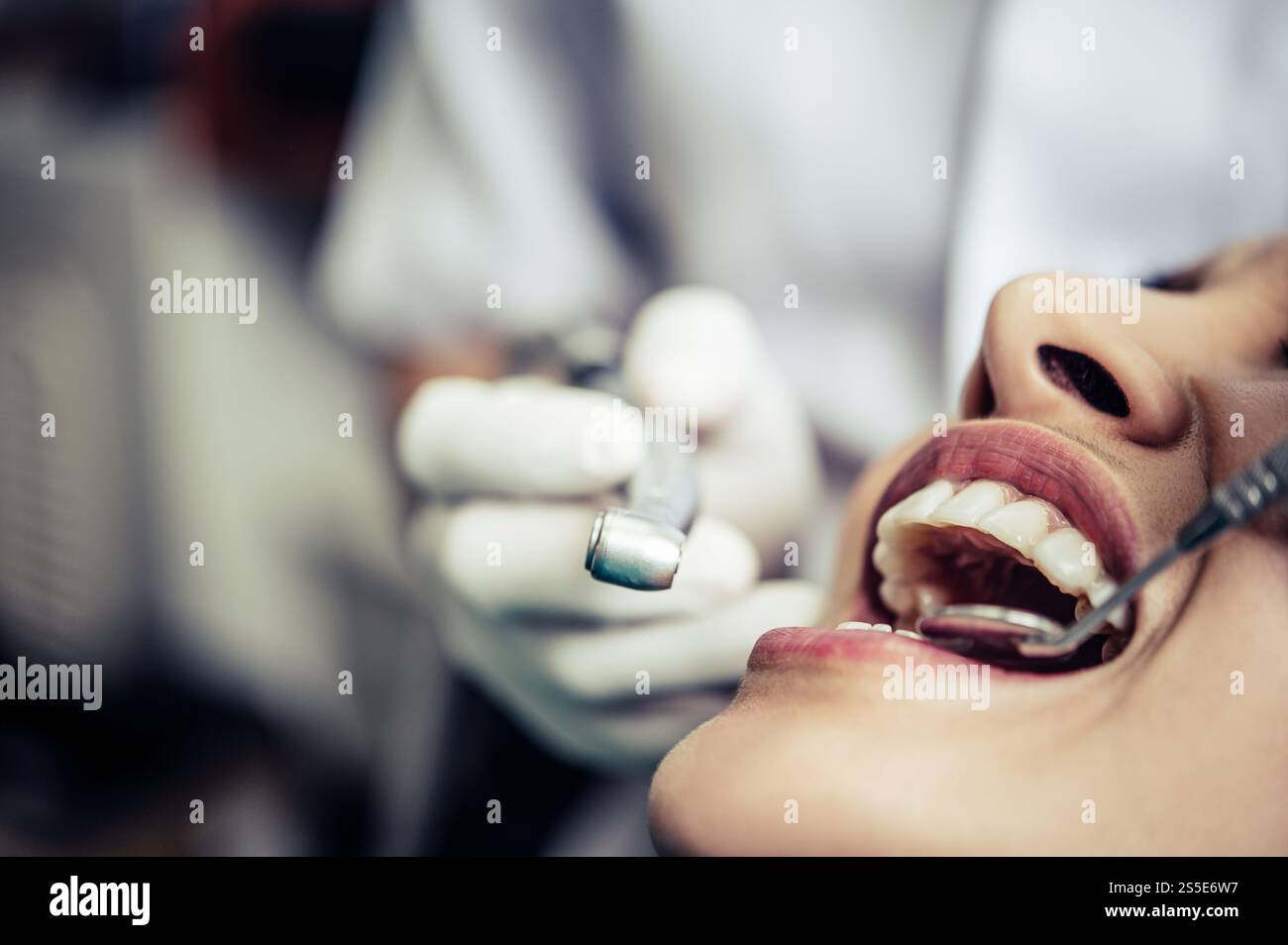 Female dentist examines patients oral hi-res stock photography and ...