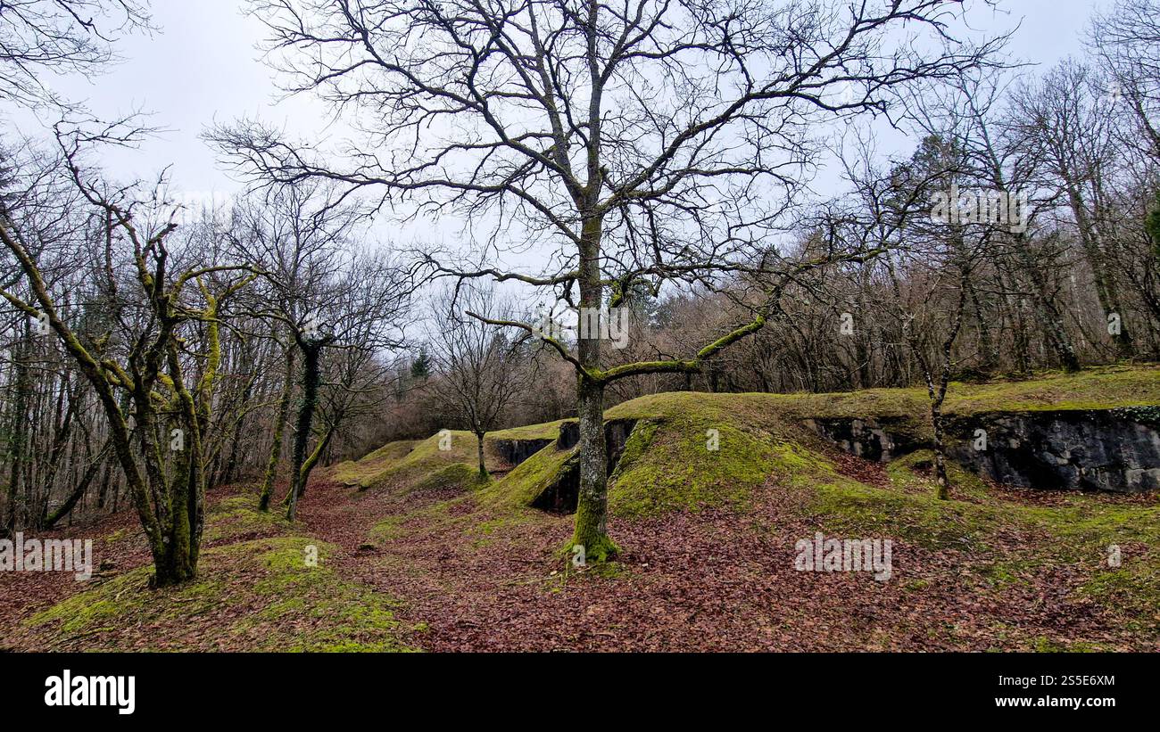 French battery near Froideterre, Verdun area, Meuse, Grand-Est Region ...