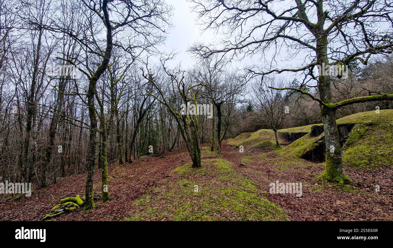 French battery near Froideterre, Verdun area, Meuse, Grand-Est Region ...