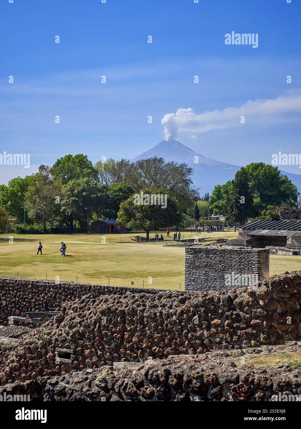 Geology museum mexico city hi-res stock photography and images - Alamy
