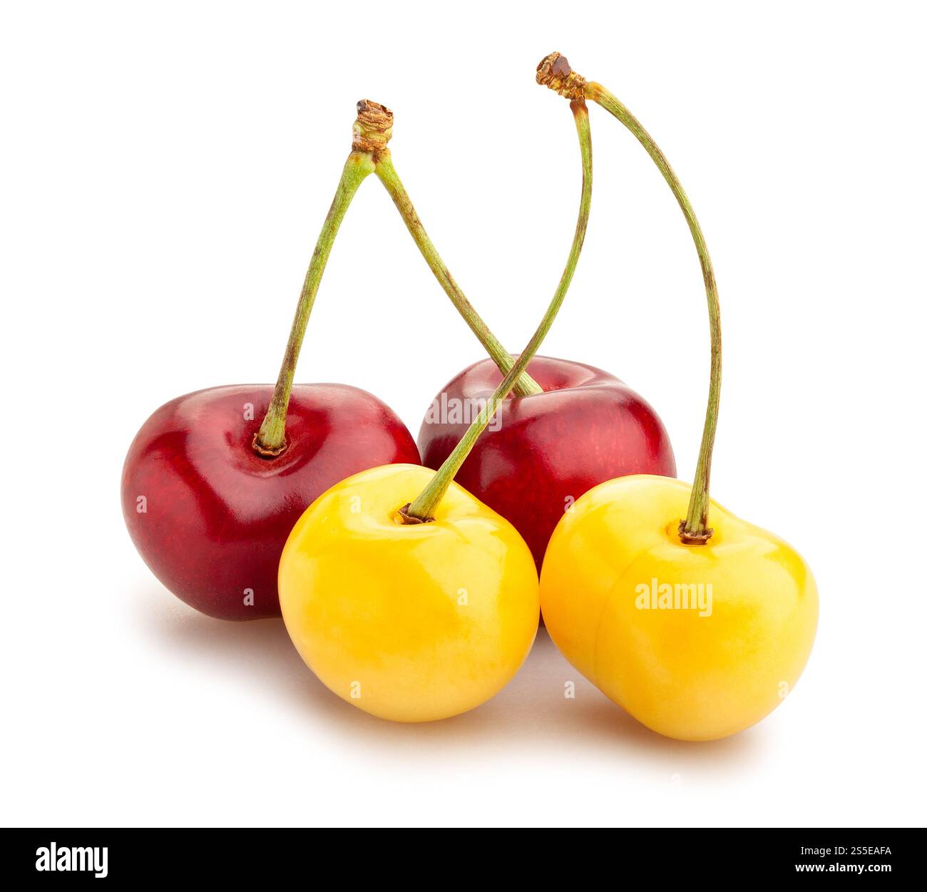 yellow red cherry mix path isolated on white Stock Photo - Alamy