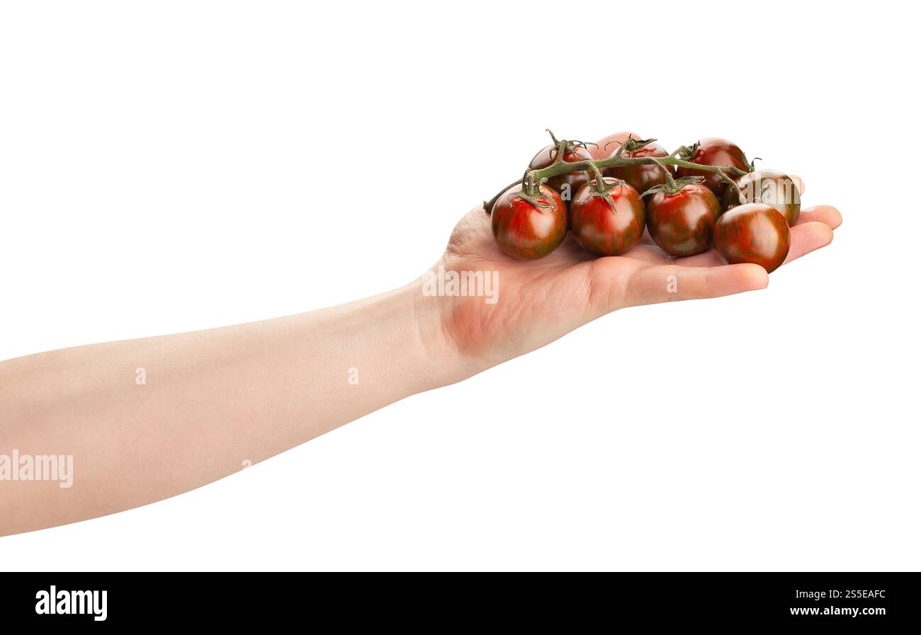 Tomato in black background Cut Out Stock Images & Pictures - Alamy