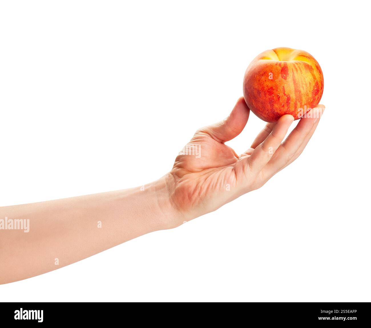 peach in hand path isolated on white Stock Photo - Alamy