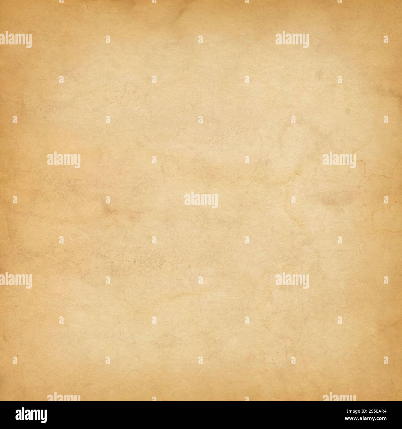 Old parchment paper texture background. Horizontal banner. Square ...