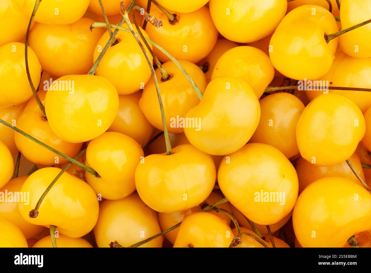 Cherry top view hi-res stock photography and images - Alamy