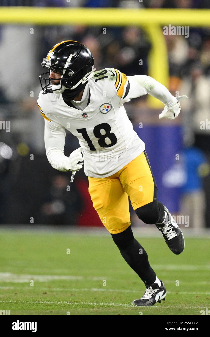 Pittsburgh Steelers wide receiver Mike Williams (18) in action during ...