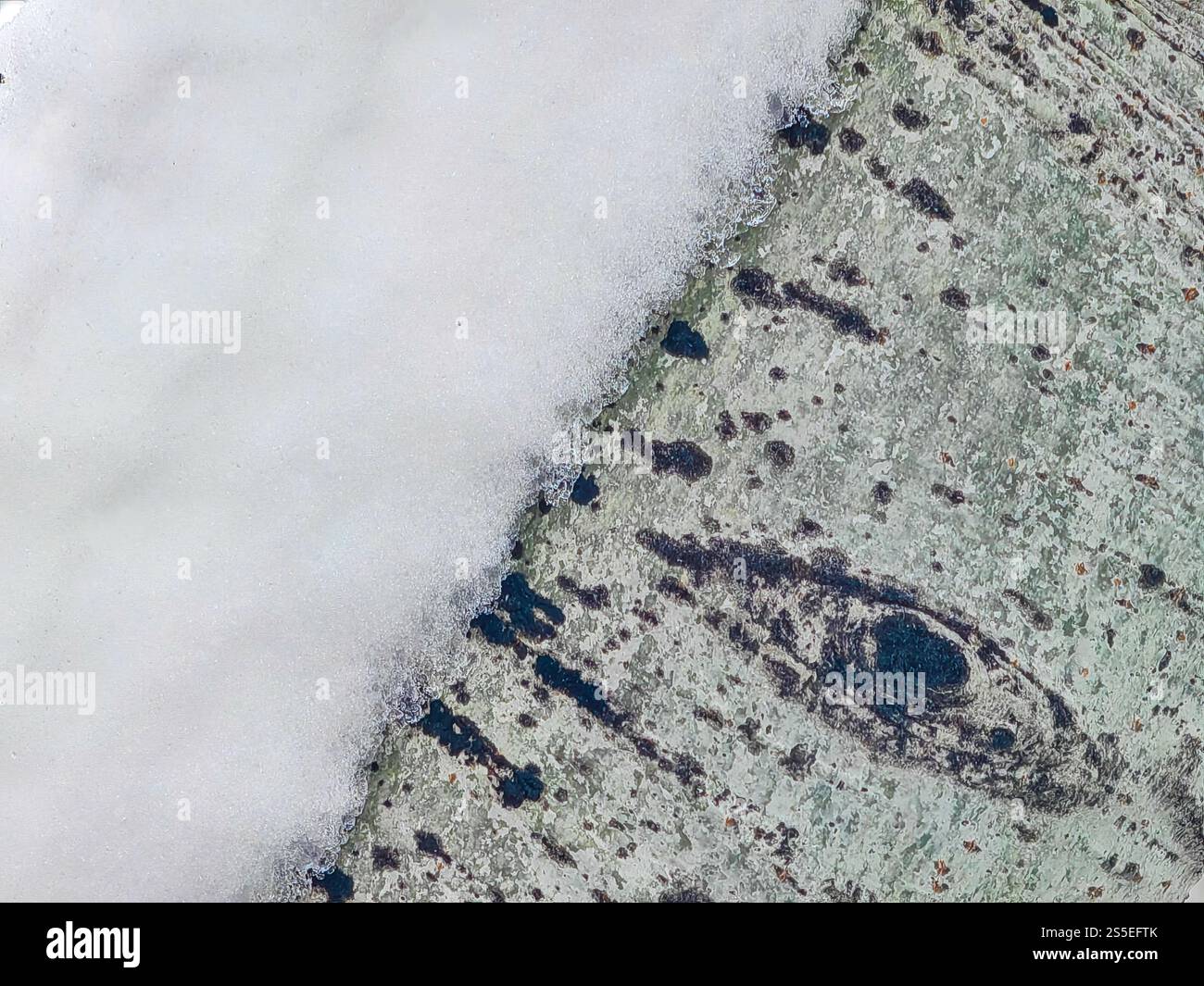 Triangles in nature hi-res stock photography and images - Alamy