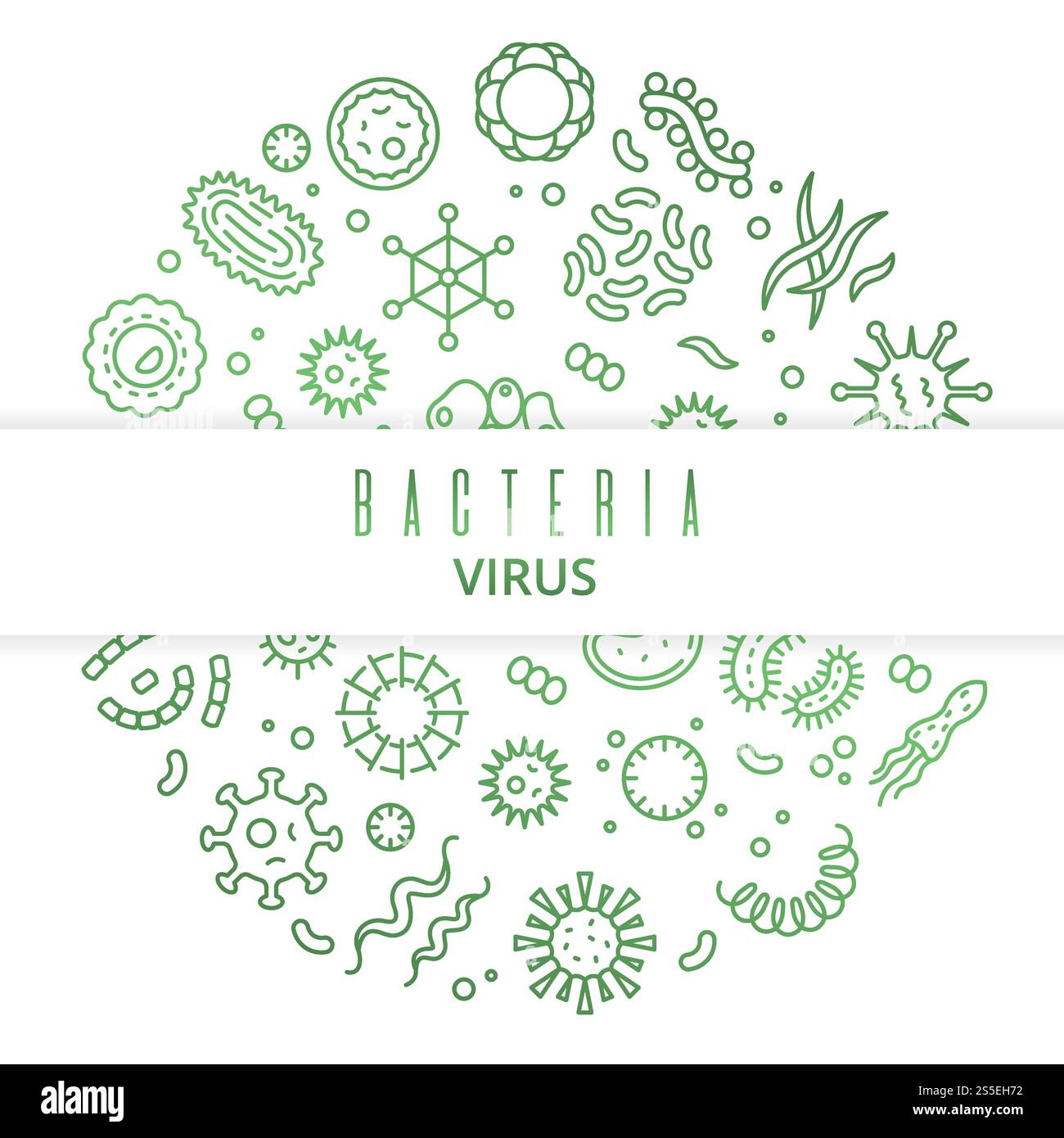 Outline vector microbes, viruses, bacteria, microorganism cells and primitive organism concept ...