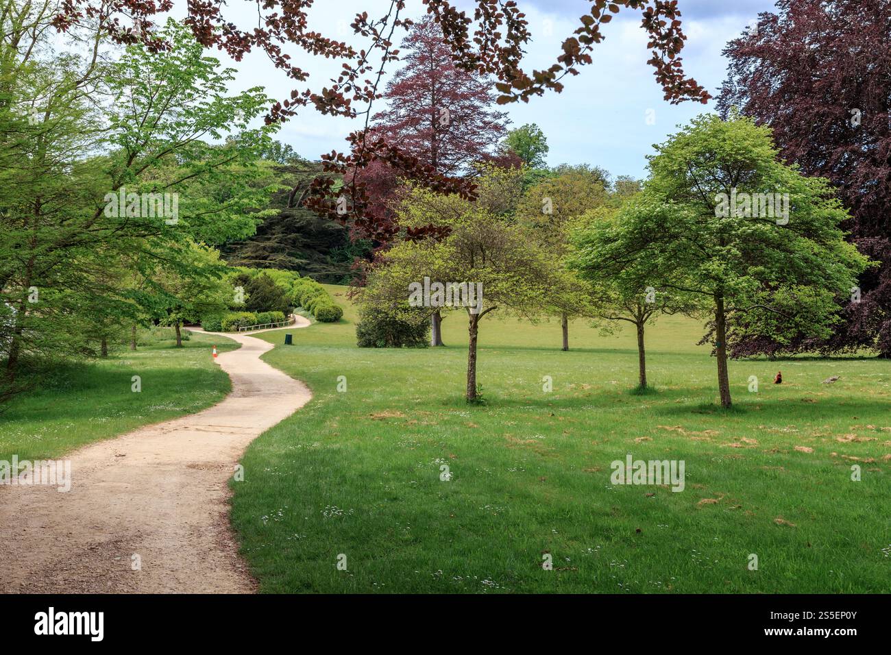 Walkway park hi-res stock photography and images - Alamy