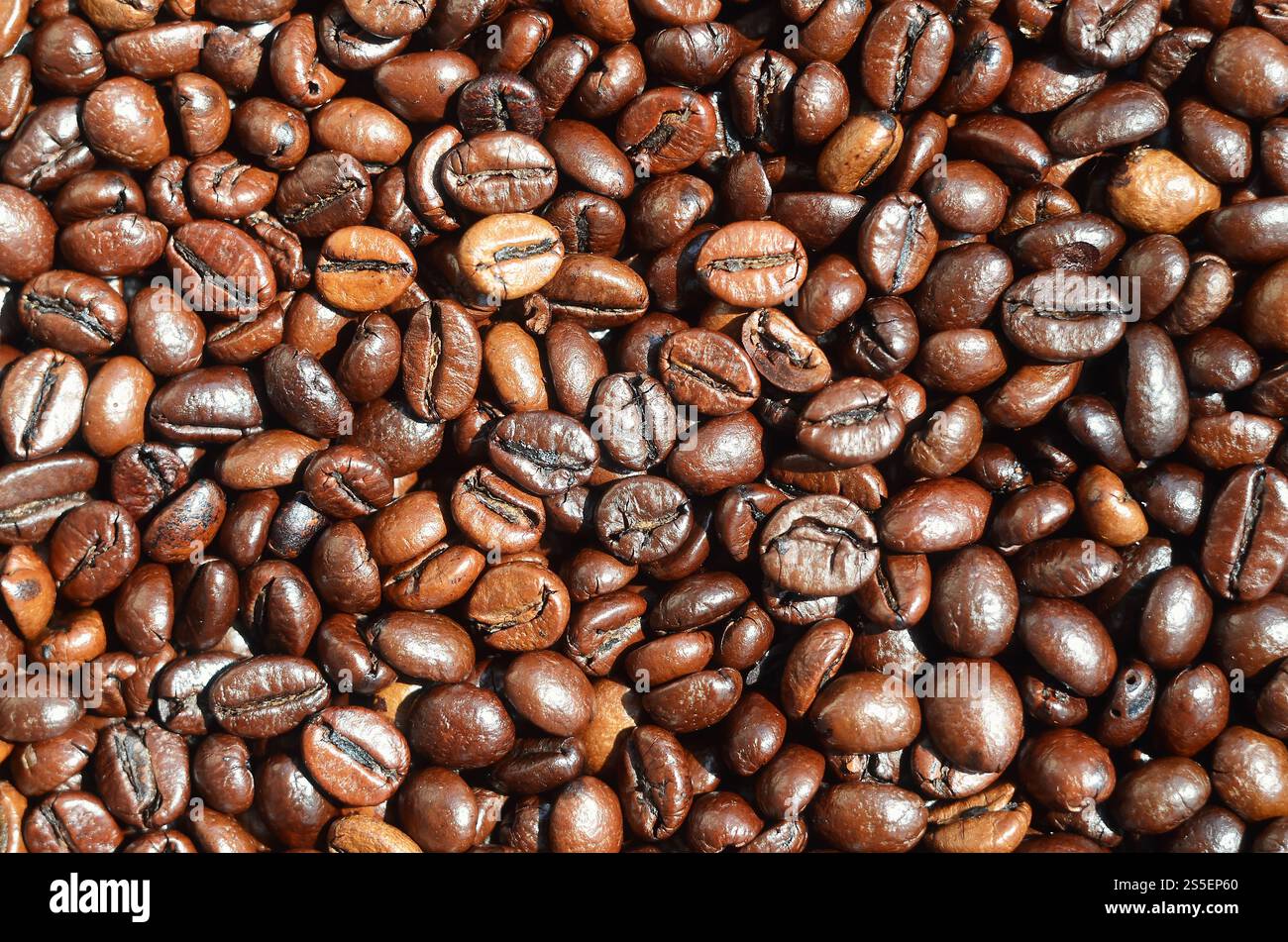 Background texture of a huge number of fragrant and fresh brown roasted ...