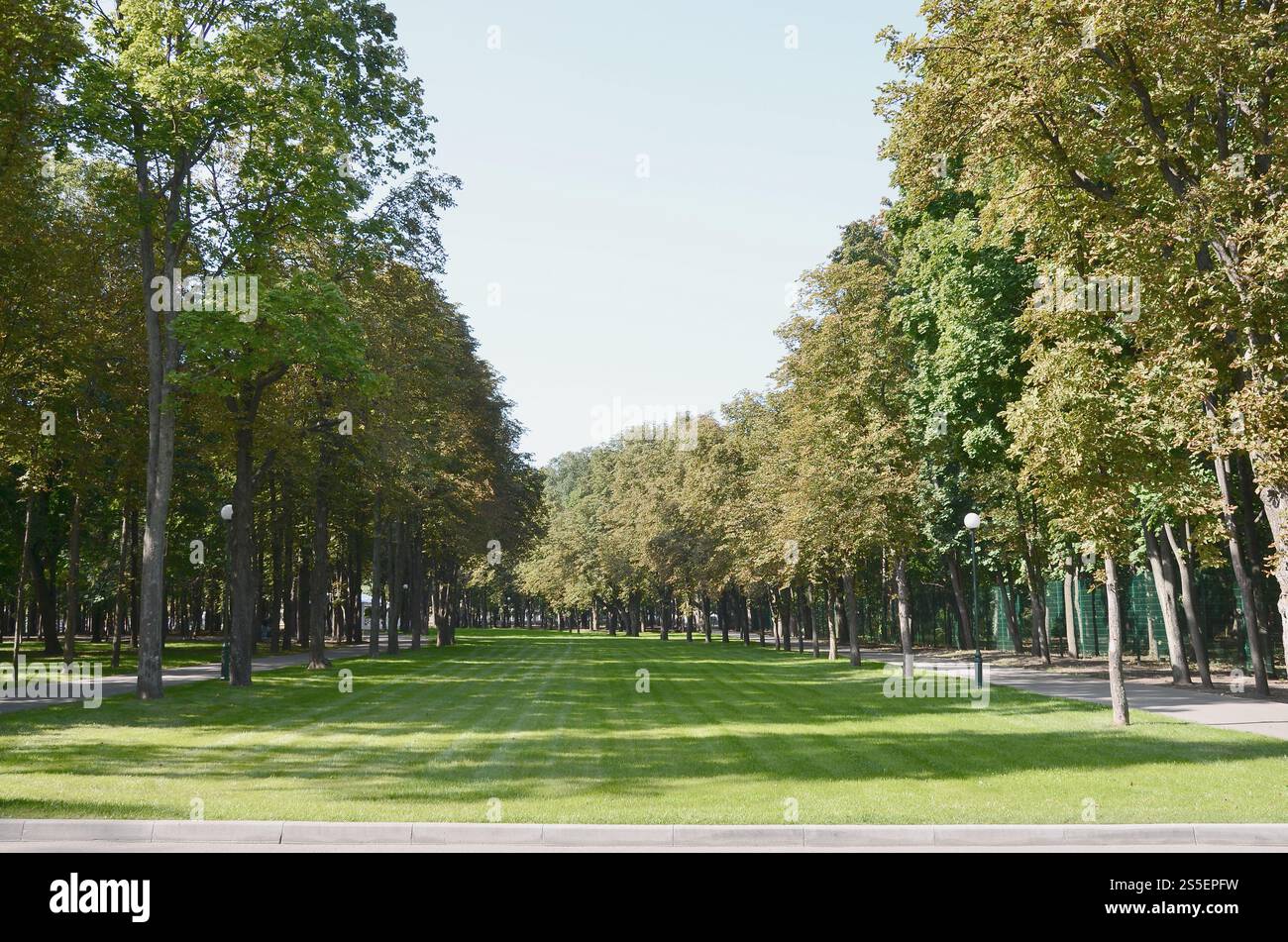 Green park grass trees hi-res stock photography and images - Alamy