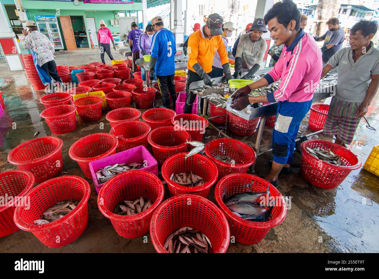 The Fish Market and Harbour at the Pak Nam Pran Fishing Village near ...
