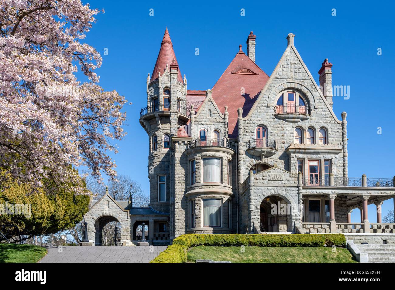 Craigdarroch Castle exterior with full bloom cherry blossom during ...