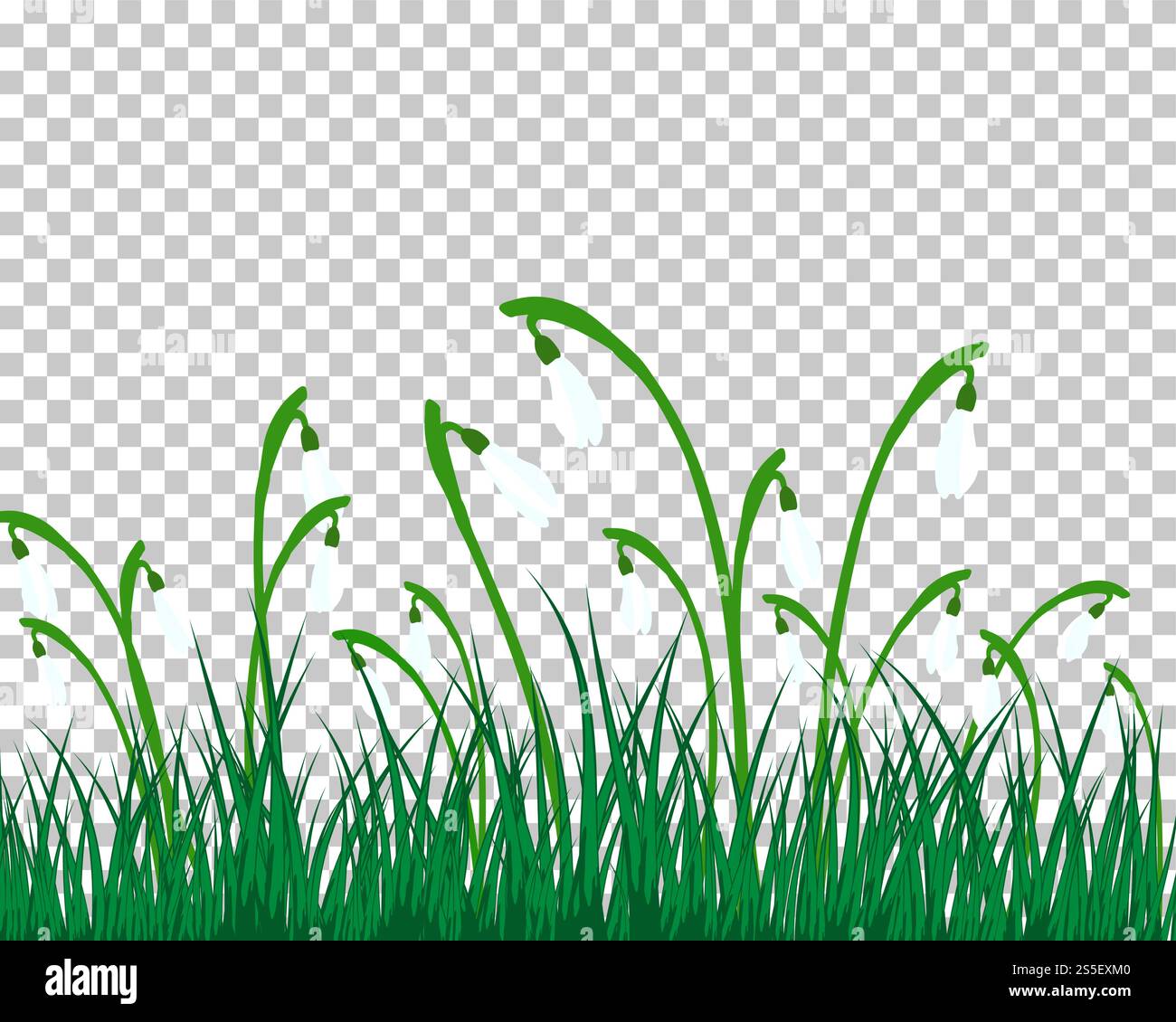 Summer (Spring) Medow. Transparency Grid Background Design. Vector ...