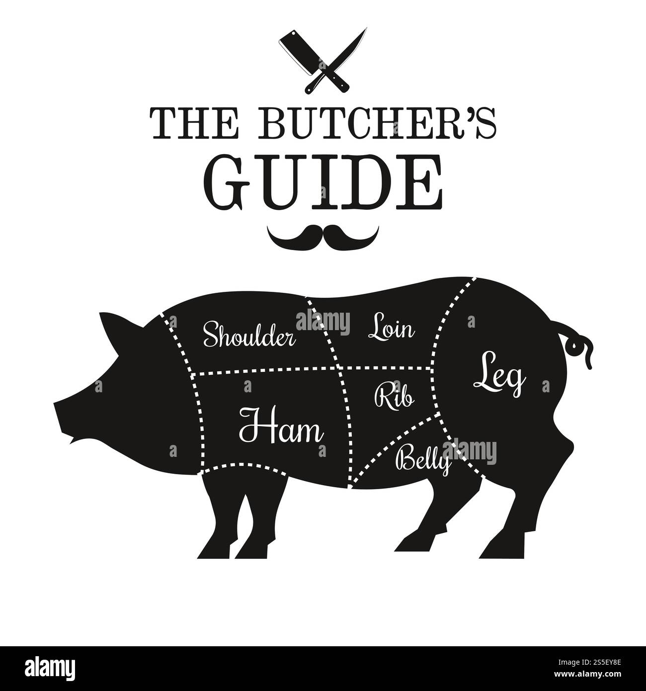 Pork meat cut lines diagram on the outline of a pig, hog, butcher shop ...
