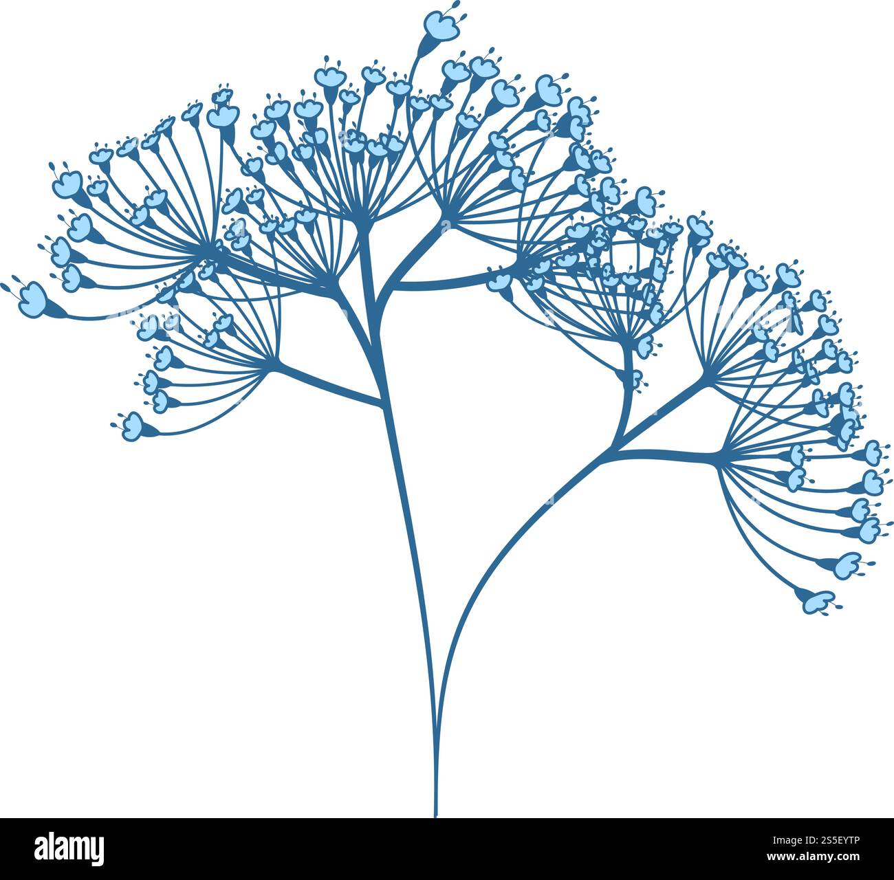 Dill Icon. Thin Line With Blue Fill Design. Vector Illustration Stock ...