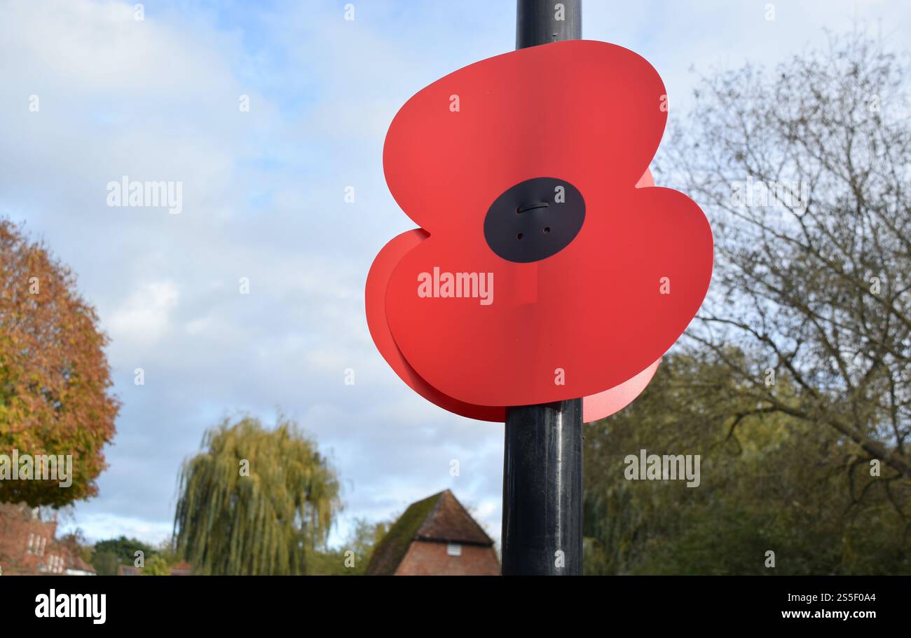 Poppy flower sign Remembrance day symbol in British town Stock Photo ...
