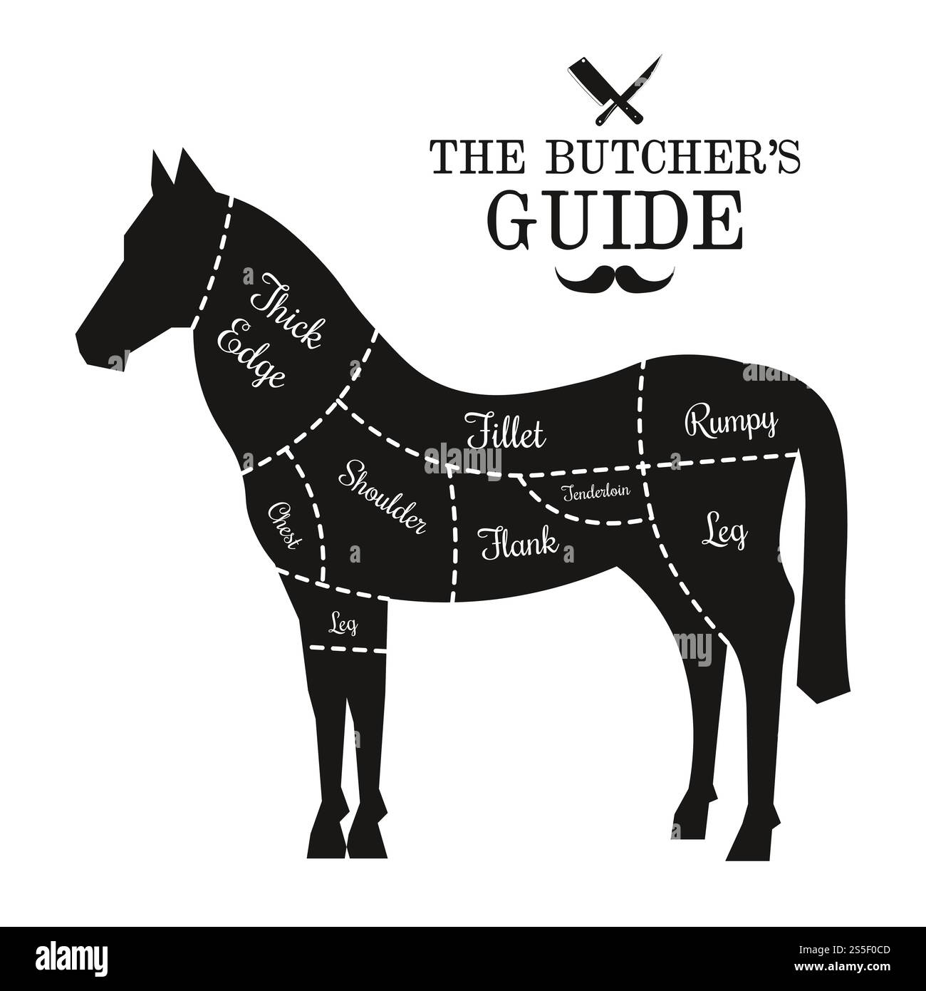 Horse meat cut lines diagram on the outline of an animal, butcher shop ...