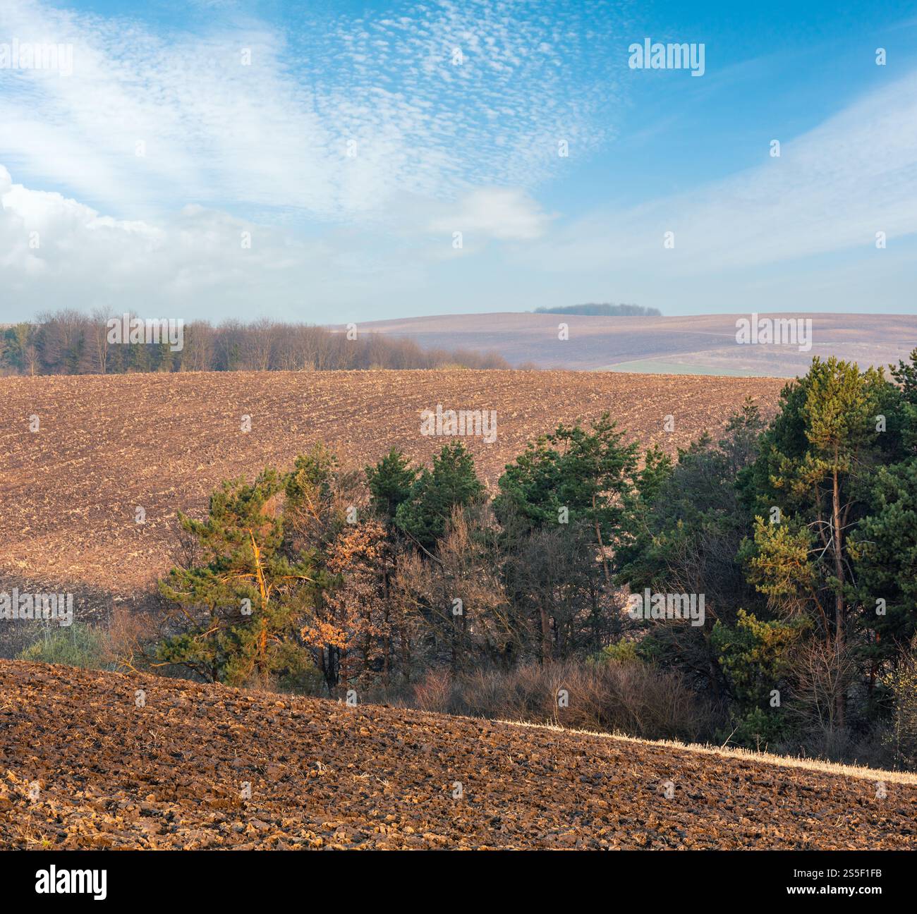 Spring morning rural country landscape with plowed agricultural fields ...