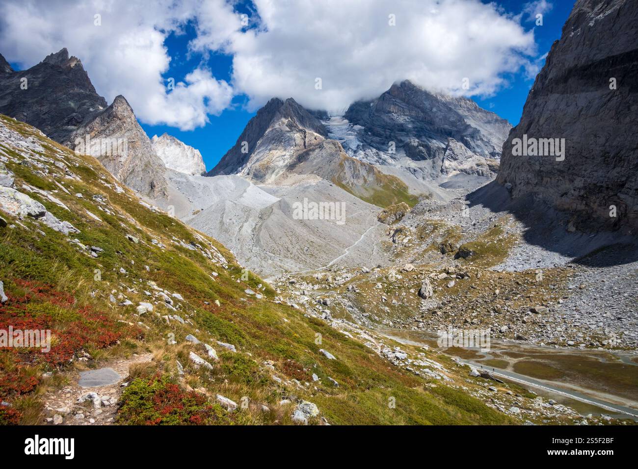 Cow lake, Lac des Vaches, in Vanoise national Park, Savoy, France. Cow ...
