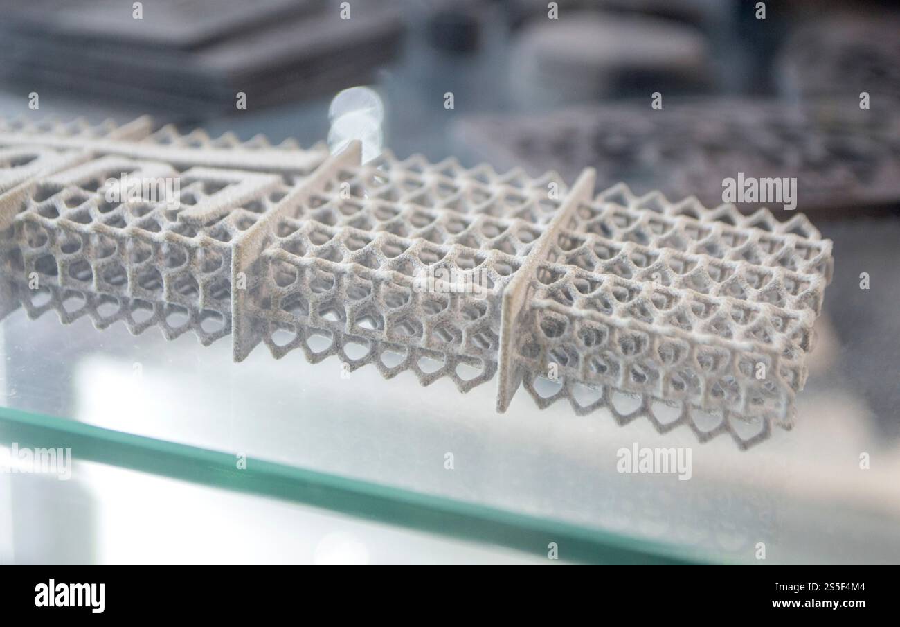 Multi-part model printed on 3D printer from black polyamide powder ...